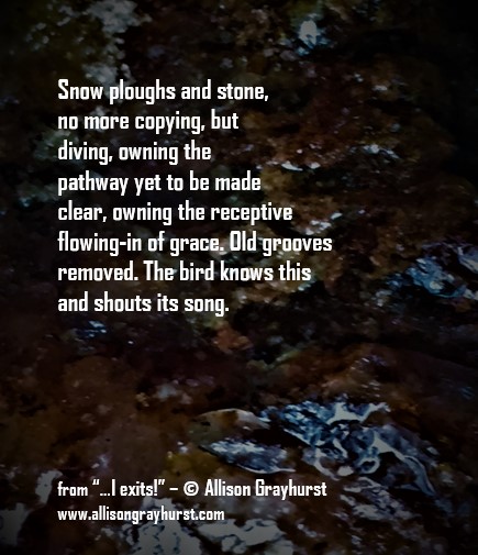 Excerpts from “Too damaged to be renewed”, “…I exist!” and “I am ...